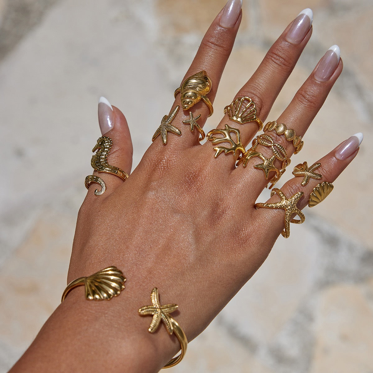 Bondi starfish and shell collection – Pearl.Facts